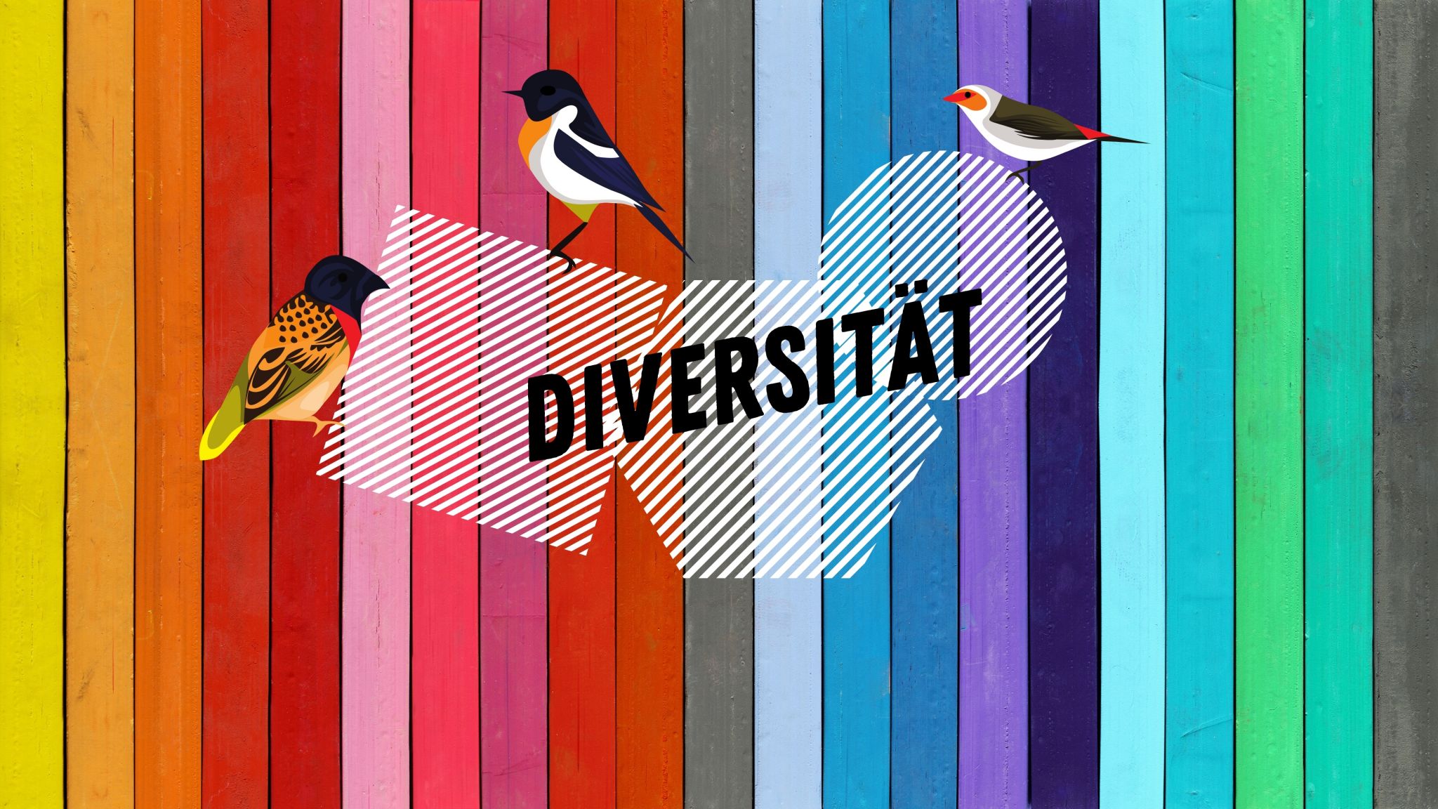 Sonderthema Diversität – BKJFF